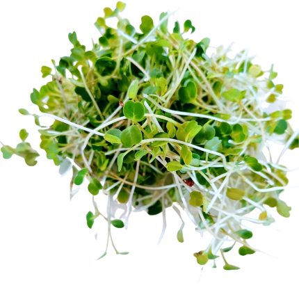 Microgreens Seller - Delivered Naturally! | Natural Yield