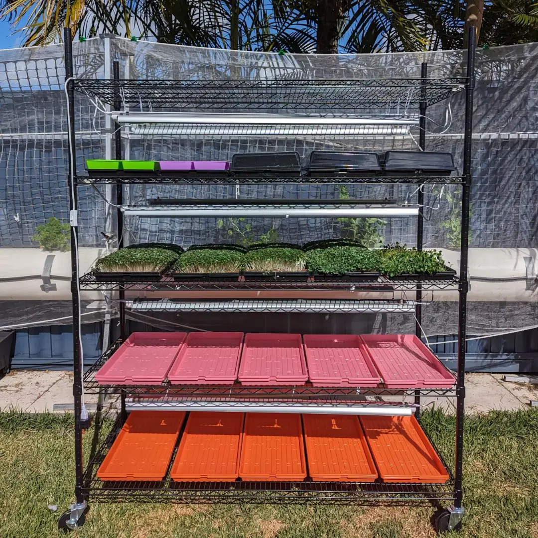 Microgreen Grow Kits | Natural Yield Australia
