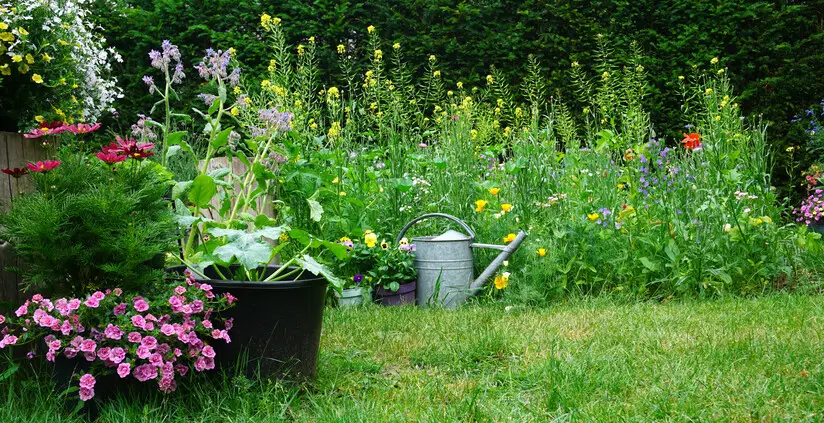 Elevate Your Flower Farming With Bootstrap Farmer Tools