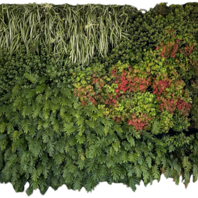 Premium Grow Wall Systems For Exceptional Indoor Gardens