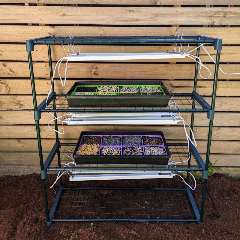 Buy Local Brisbane Microgreens Or Grow Your Own Easily | Natural Yield