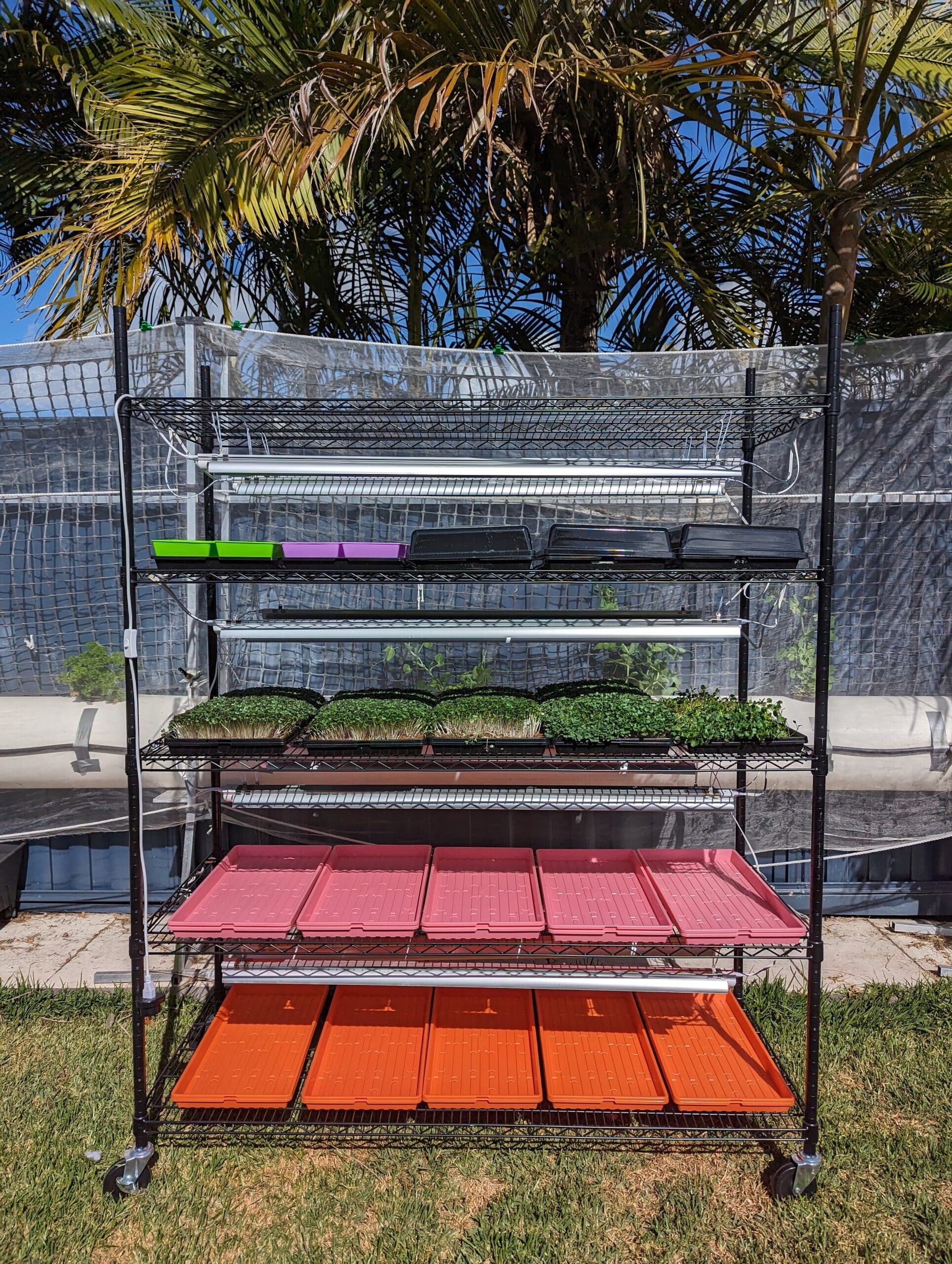 Microgreen Trays – Natural Yield